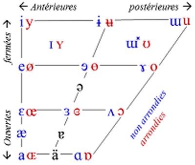 Terminologie - Montre le son